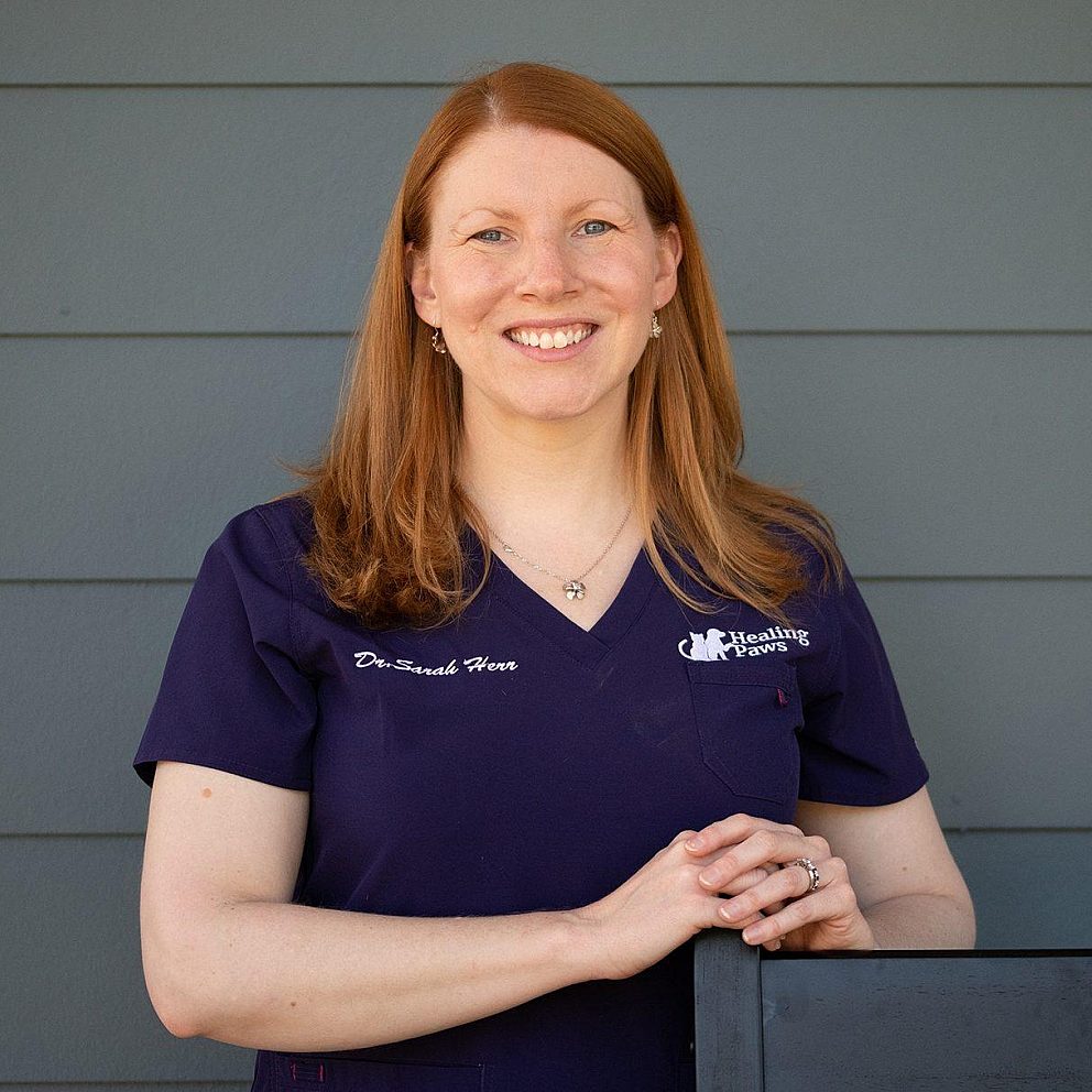 Meet our Pet-Loving Team - Healing Paws
